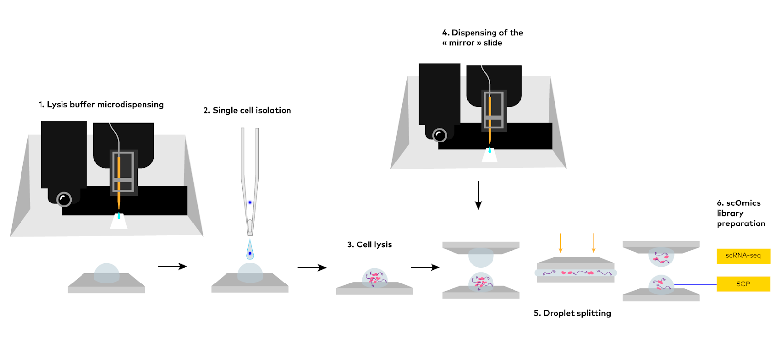 High-Throughput vs. High-Accuracy in Single-Cell Omics - SCIENION