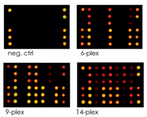 Microfluidics - SCIENION